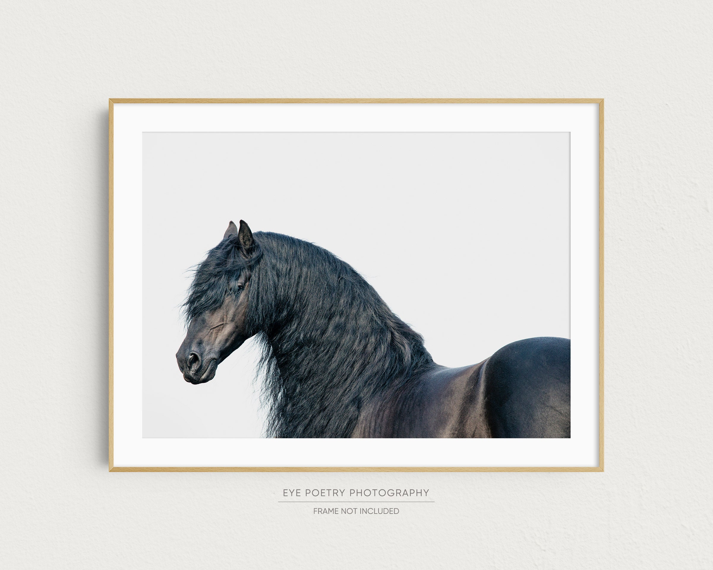 Friesian Horse Running Drawing