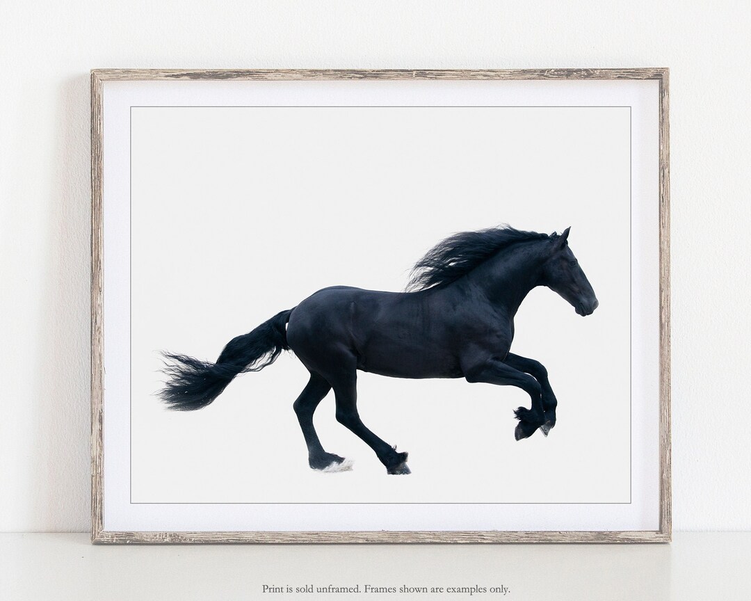 Friesian Horse Print Modern Nature Photography Print Art - Etsy
