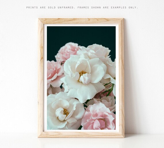 Flower Photography Print Flower Prints White and Pink Roses | Etsy