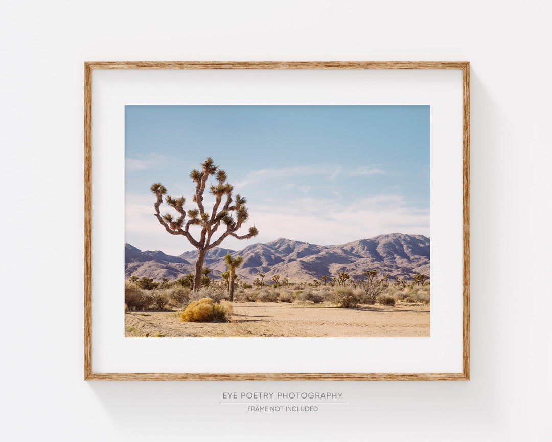 Joshua Tree Art Print, Cactus Print, Desert Landscape Photography Print ...