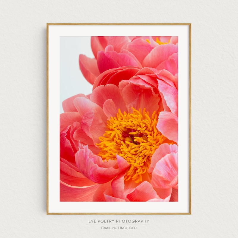 Flower Photography - Etsy