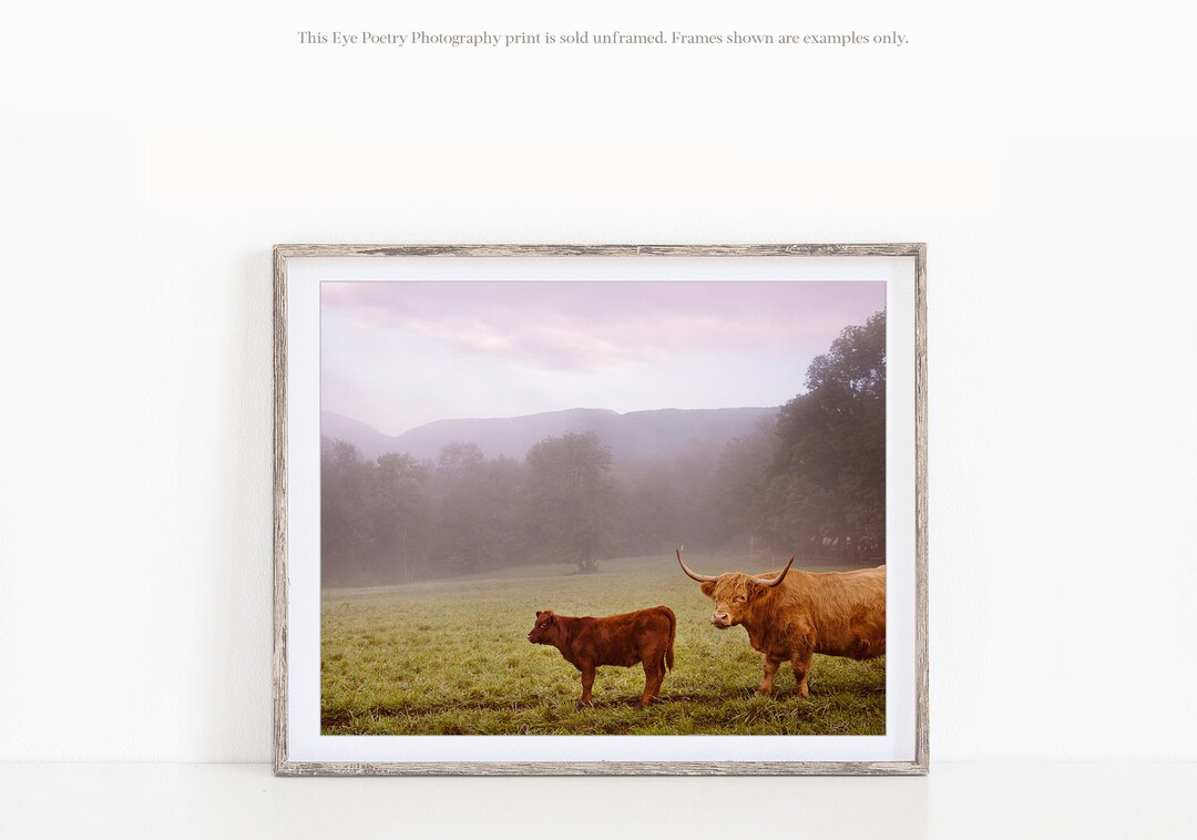Cow Print Rustic Nature Photography Print Rustic Wall Decor - Etsy