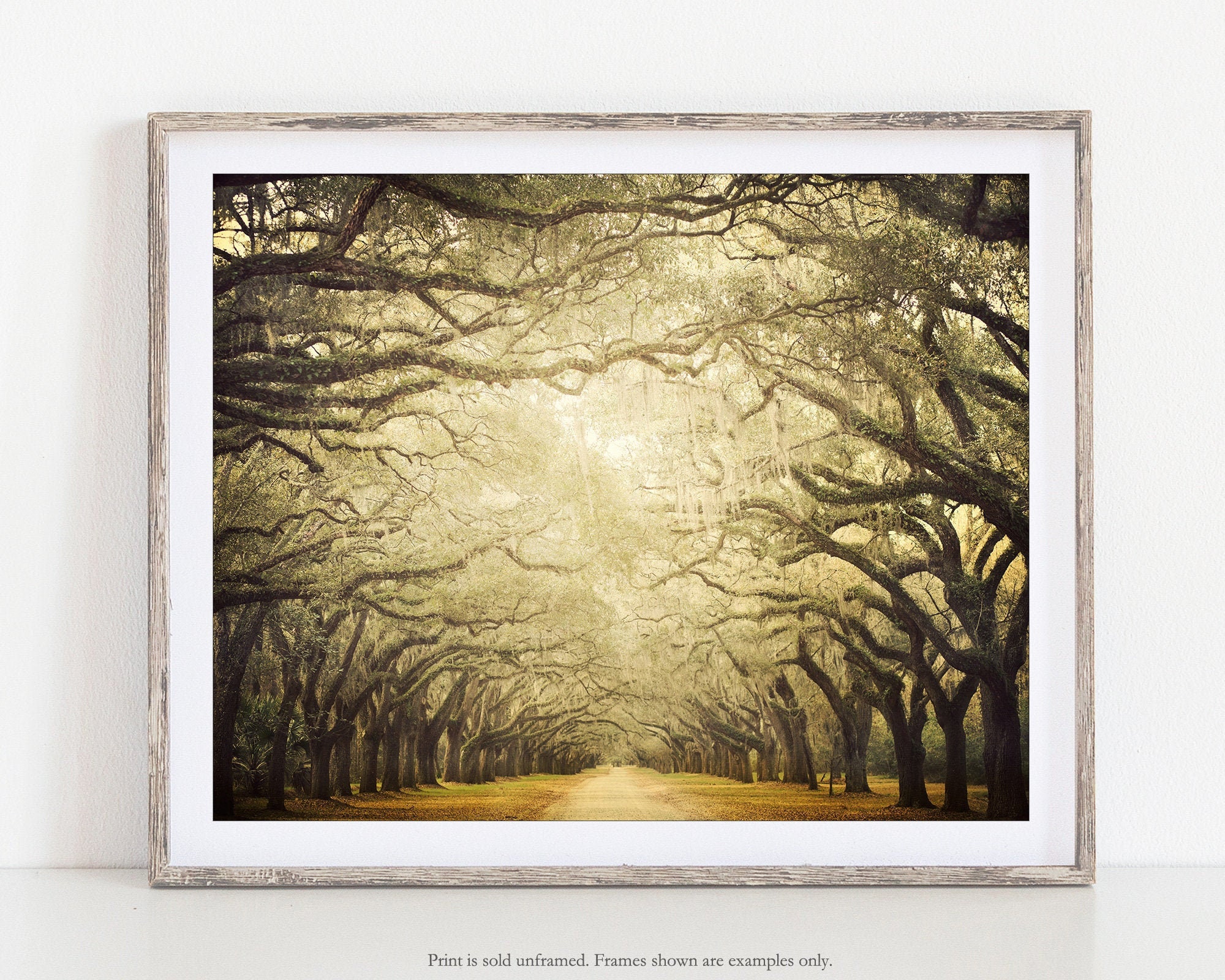 Landscape Photography Rustic Decor Tree Wall Art Print Fall - Etsy