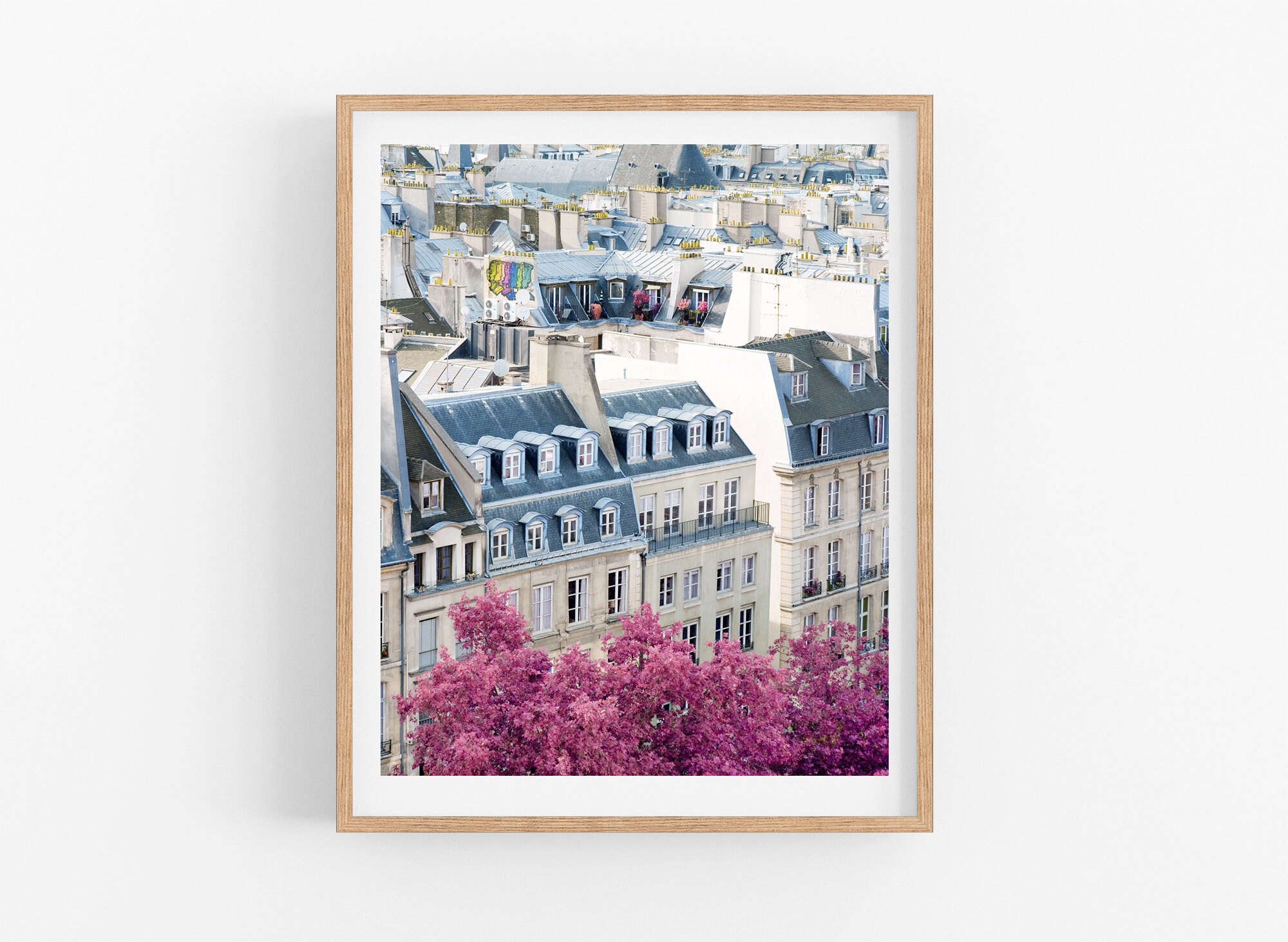 Paris Photography Blossoming Pink Trees Springtime in Paris | Etsy