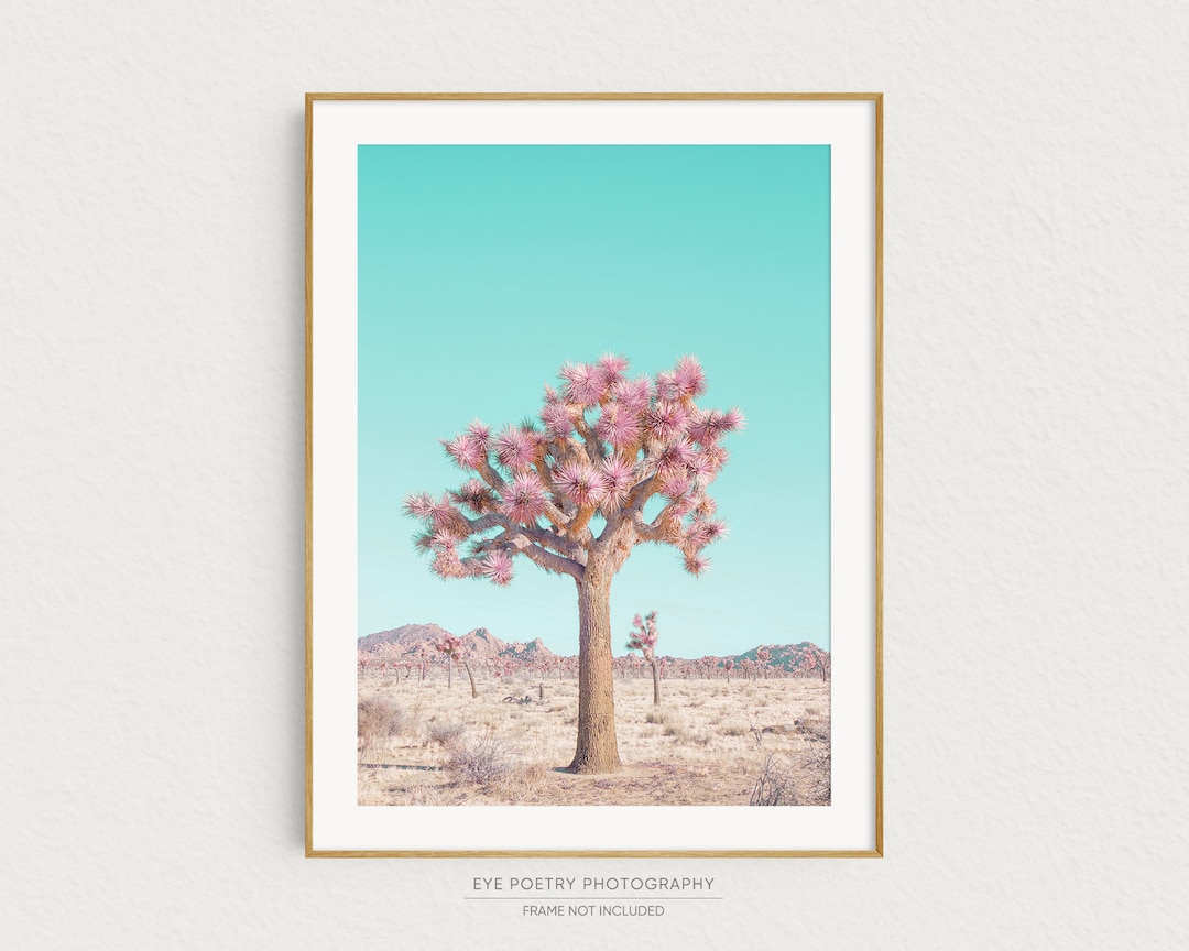Joshua Tree Art Print, Desert Landscape Photography, Cactus Wall Art ...