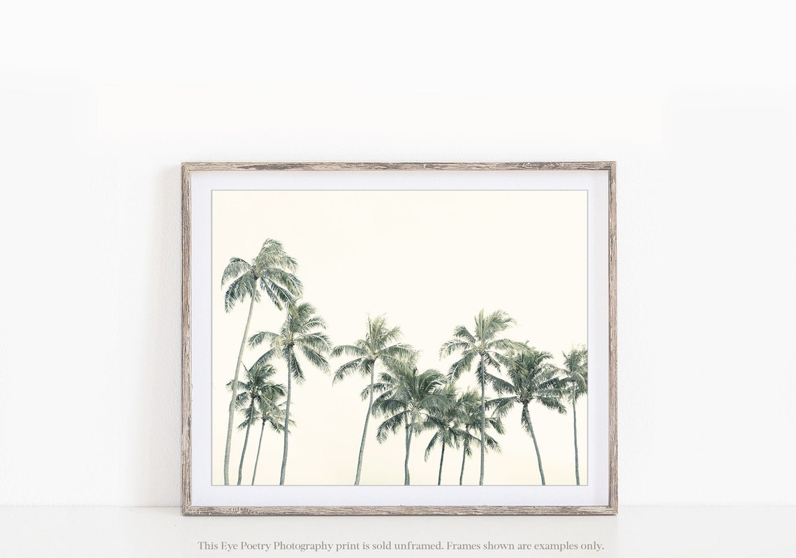 Palm Print Modern Tropical Decor Summer Beach Decor Palm - Etsy