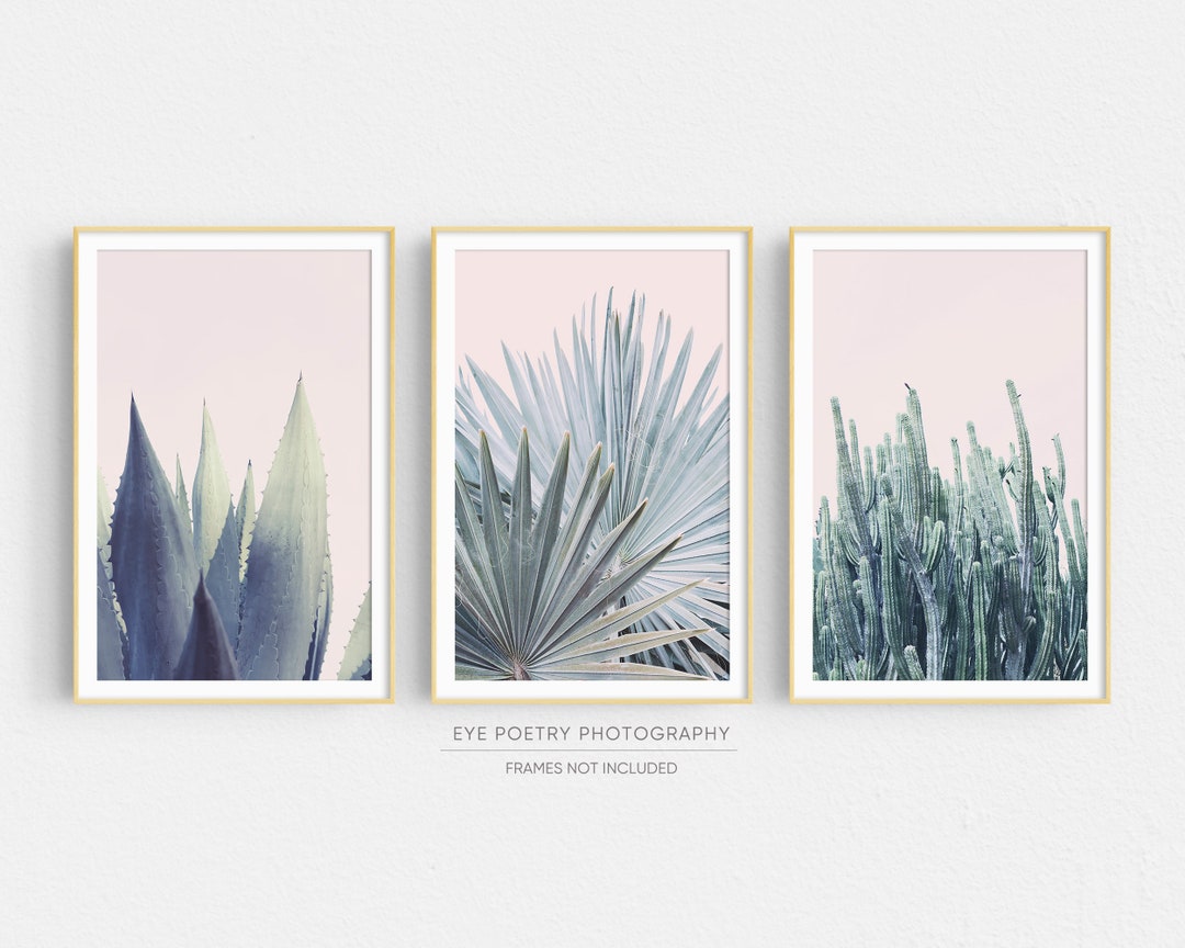 Cactus Prints, Boho Gallery Wall Art, Set of 3 Prints, Botanical Prints ...