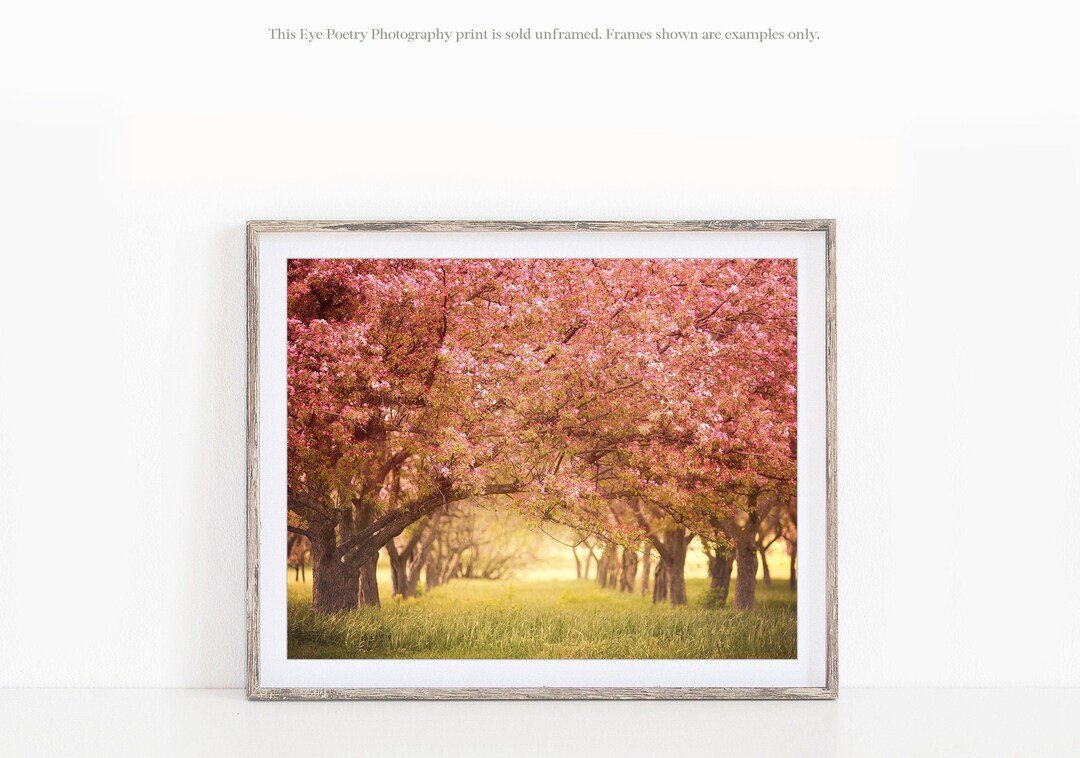 Forest Print Nursery Pink Tree Print Baby Girl Nursery Art - Etsy