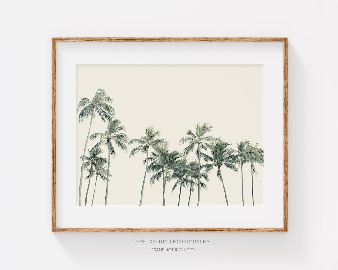 Palm Print, Modern Tropical Decor, Summer, Beach Decor, Palm Trees ...