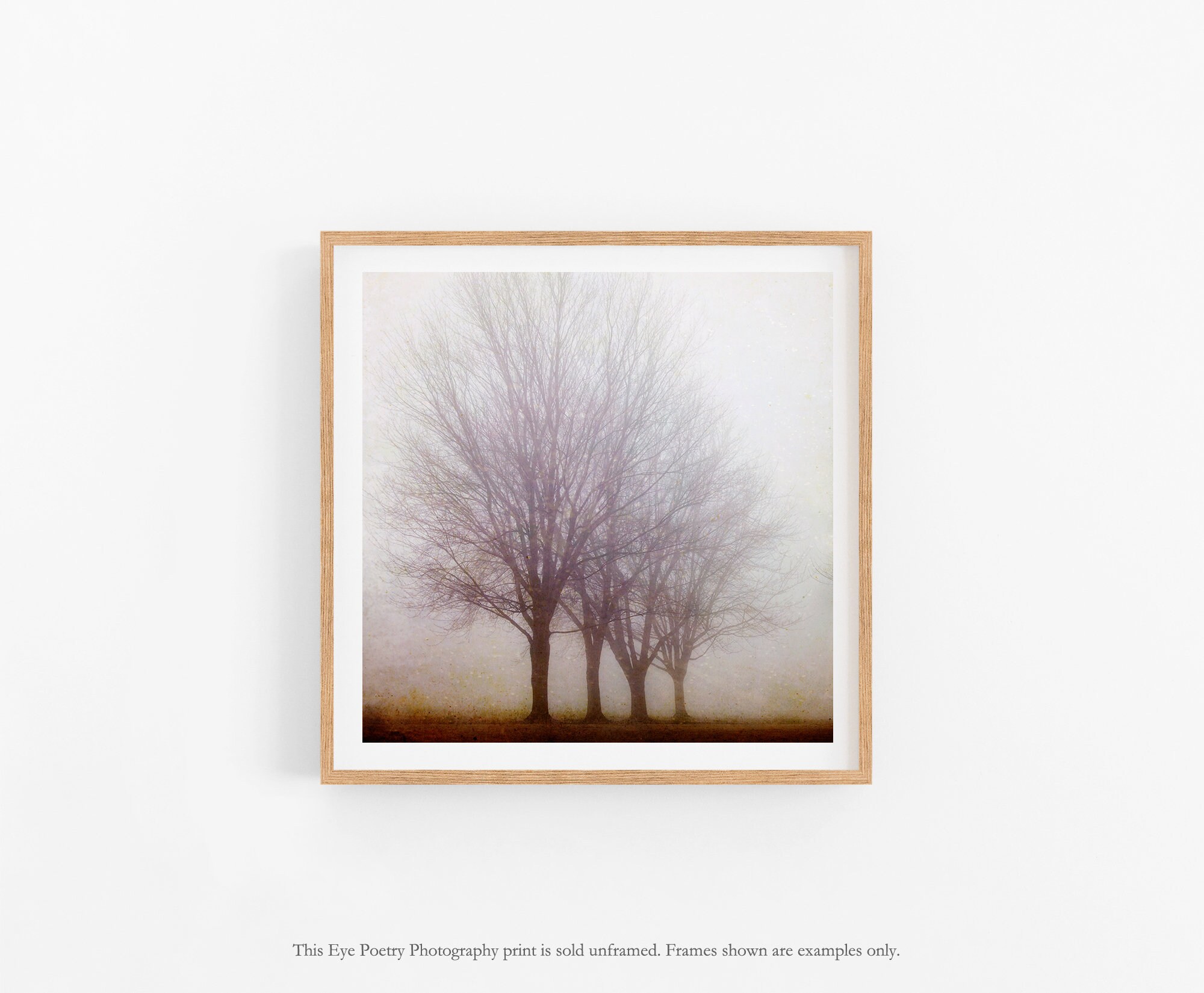 Tree Photograph, Rustic Nature Photography Print, Rustic Decor ...