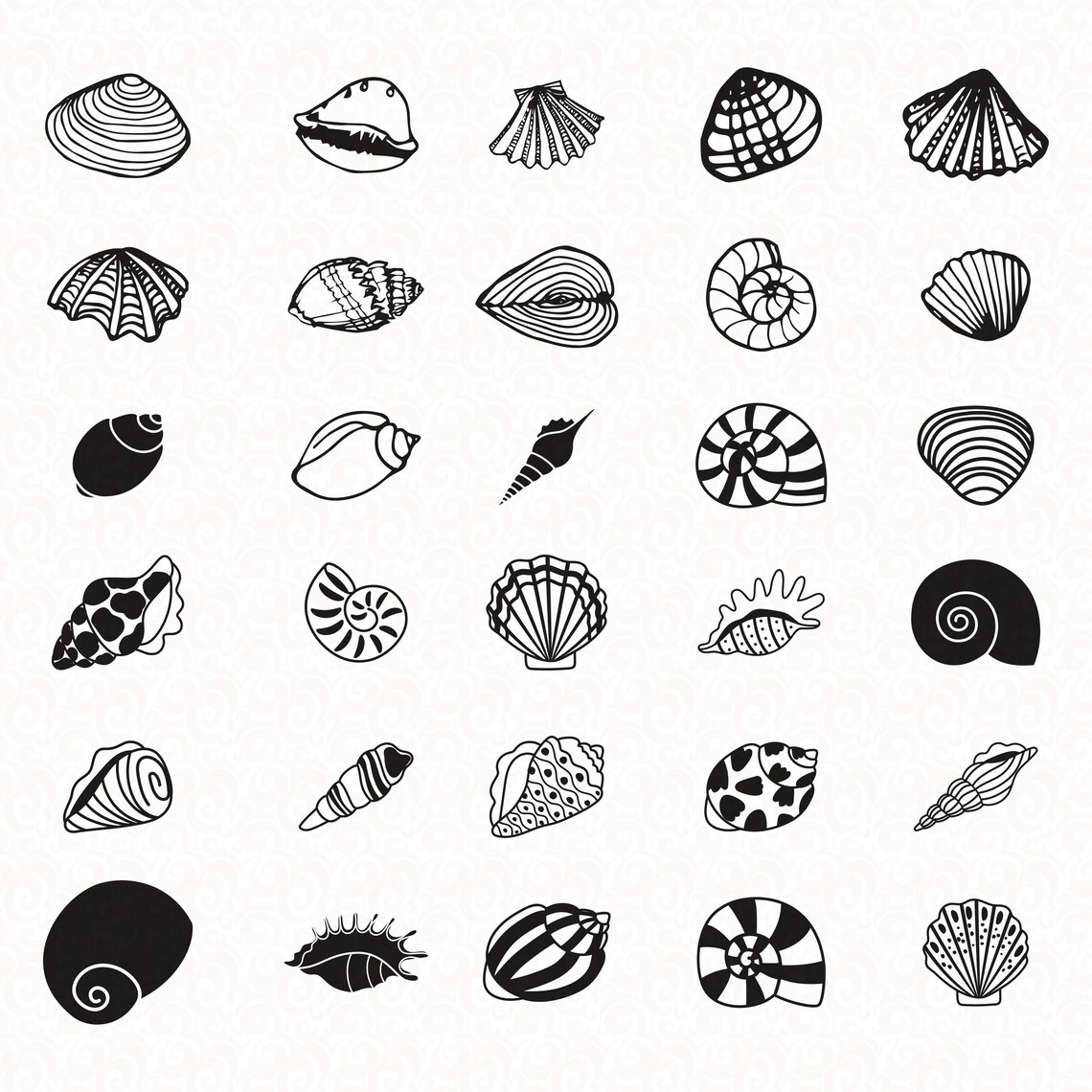 Seashell Svg, Seashell Clipart, Seashell Images, Seashell Pictures ...