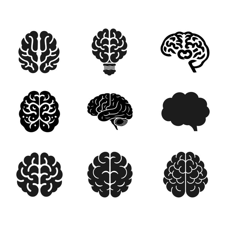 Brain Svg Bundles, Brain PNG for Prints, Brain Clipart, Brain Svg Cut ...
