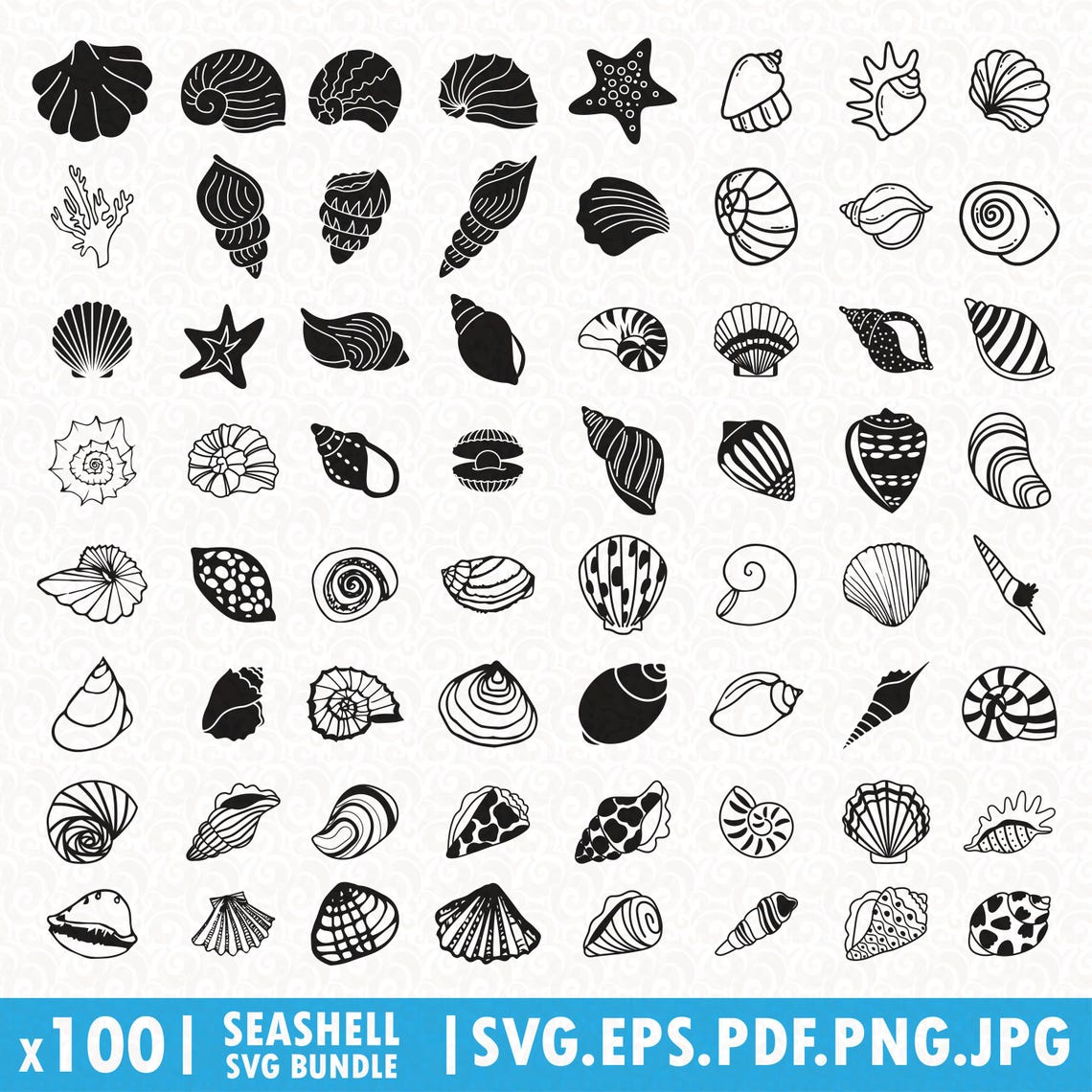 Seashell Svg, Seashell Clipart, Seashell Images, Seashell Pictures ...
