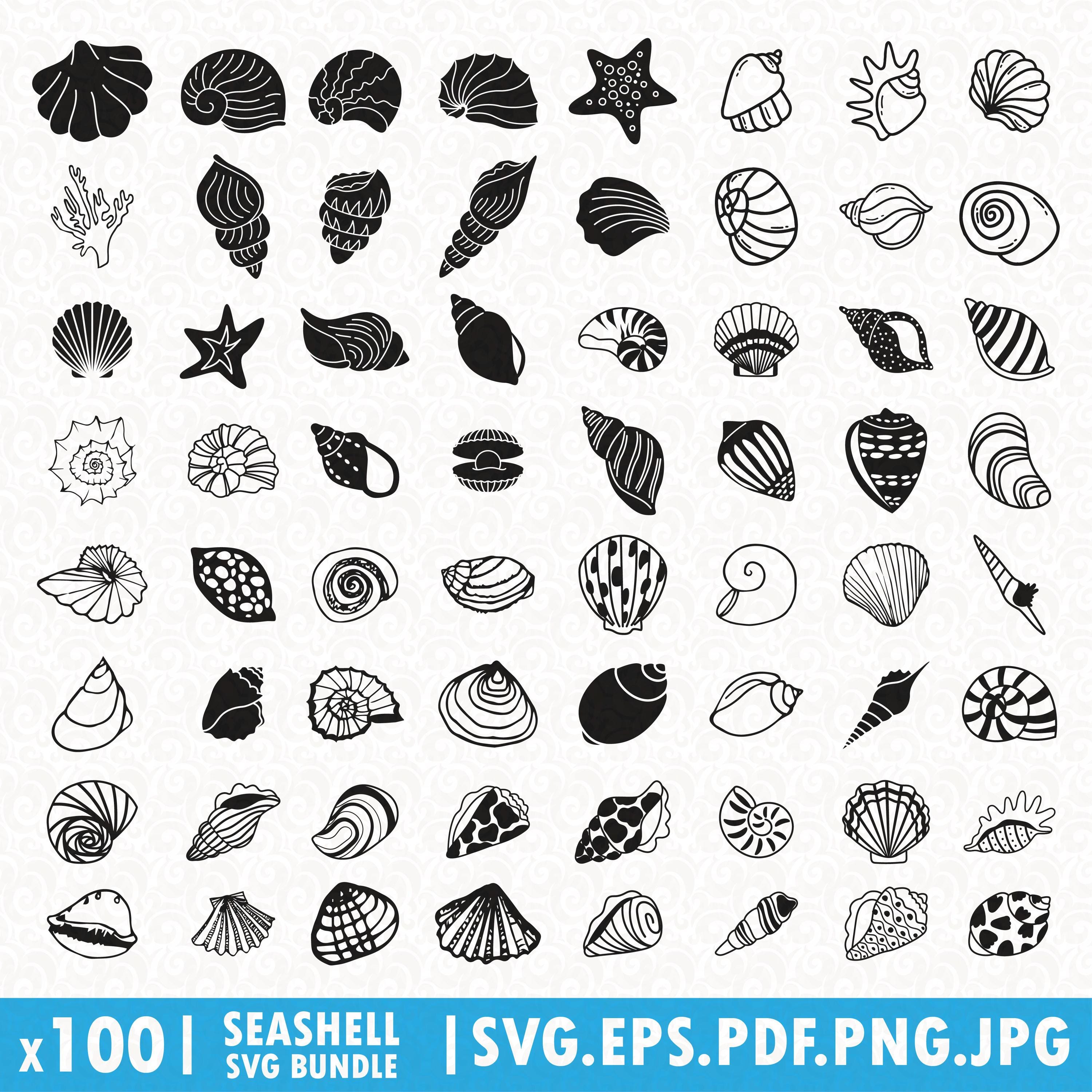Seashell Svg, Seashell Clipart, Seashell Images, Seashell Pictures ...