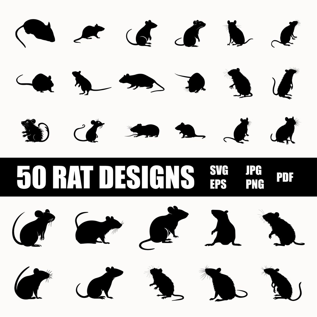 Rat Svg Bundles, Mouse Svg Bundles, Mice Svg Bundles, Rat PNG, Mouse ...
