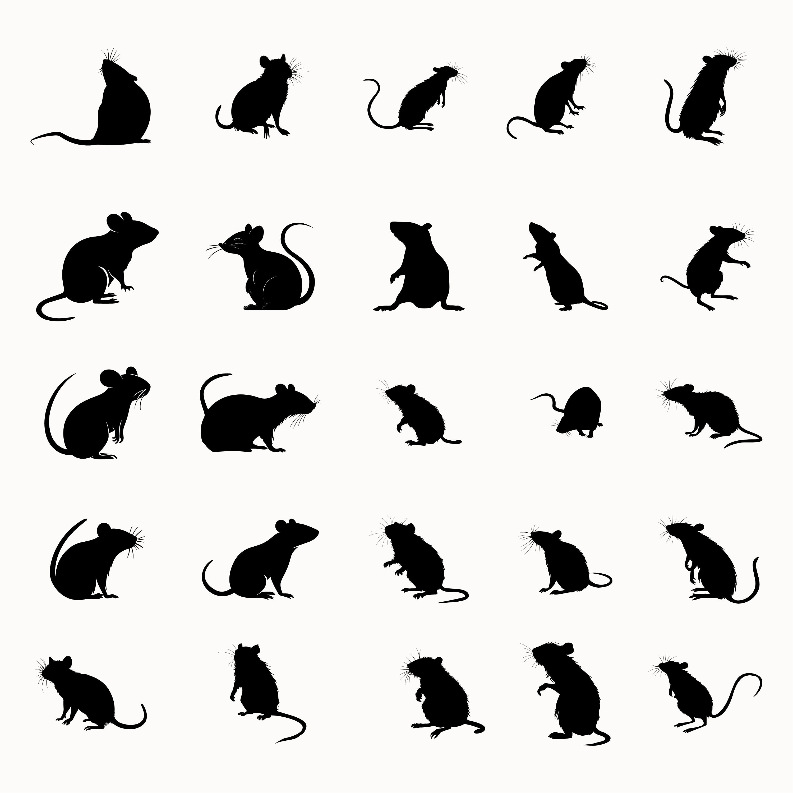 Rat Svg Bundles, Mouse Svg Bundles, Mice Svg Bundles, Rat PNG, Mouse ...