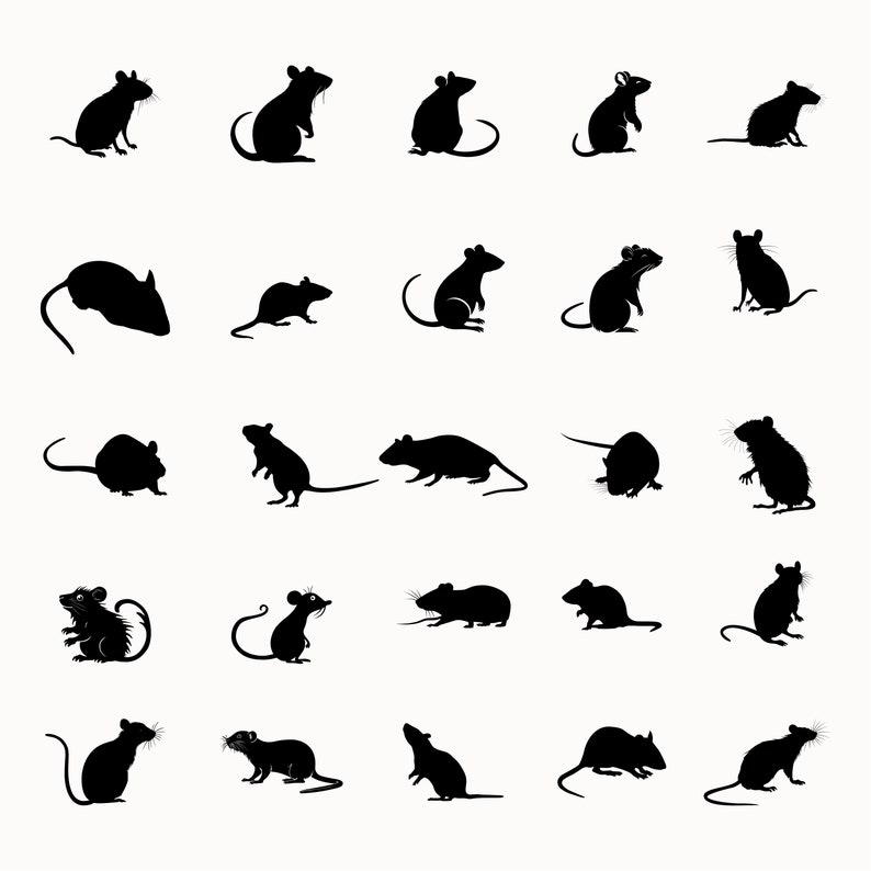 Rat Svg Bundles, Mouse Svg Bundles, Mice Svg Bundles, Rat PNG, Mouse ...