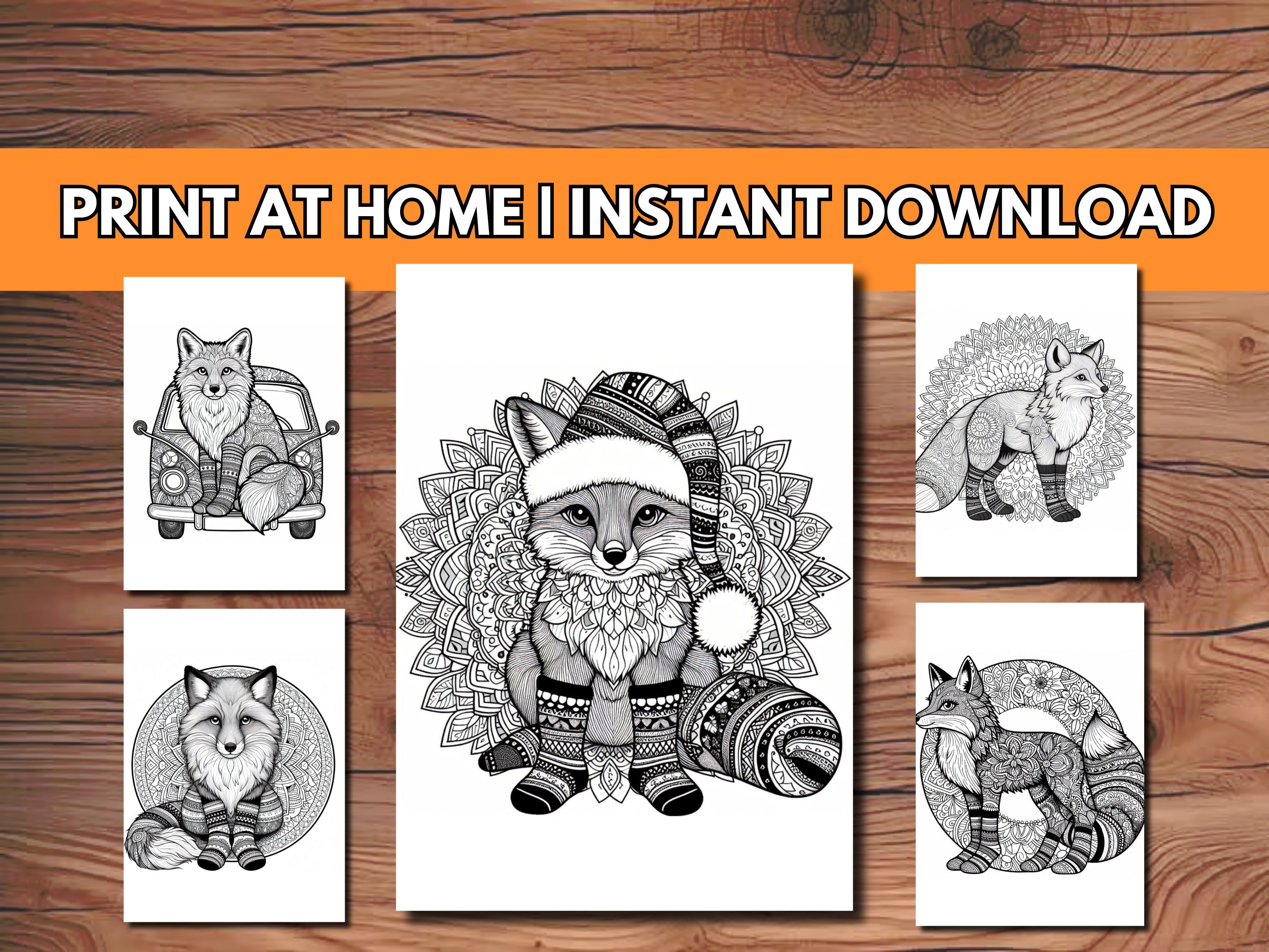 FOX IN SOCKS Printable Coloring Pages, Adult Coloring Book, Mindful ...
