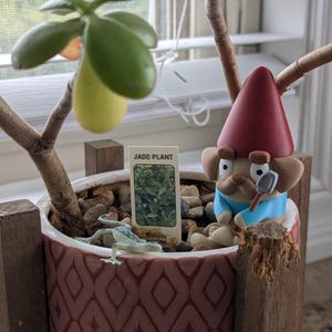 Gnomes Inspired by Bluey! Jeremy, Hecuba, Gerald, and the Meditation ...