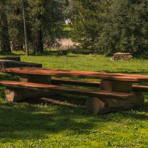 Live Edge Picnic Table Cedar - Etsy