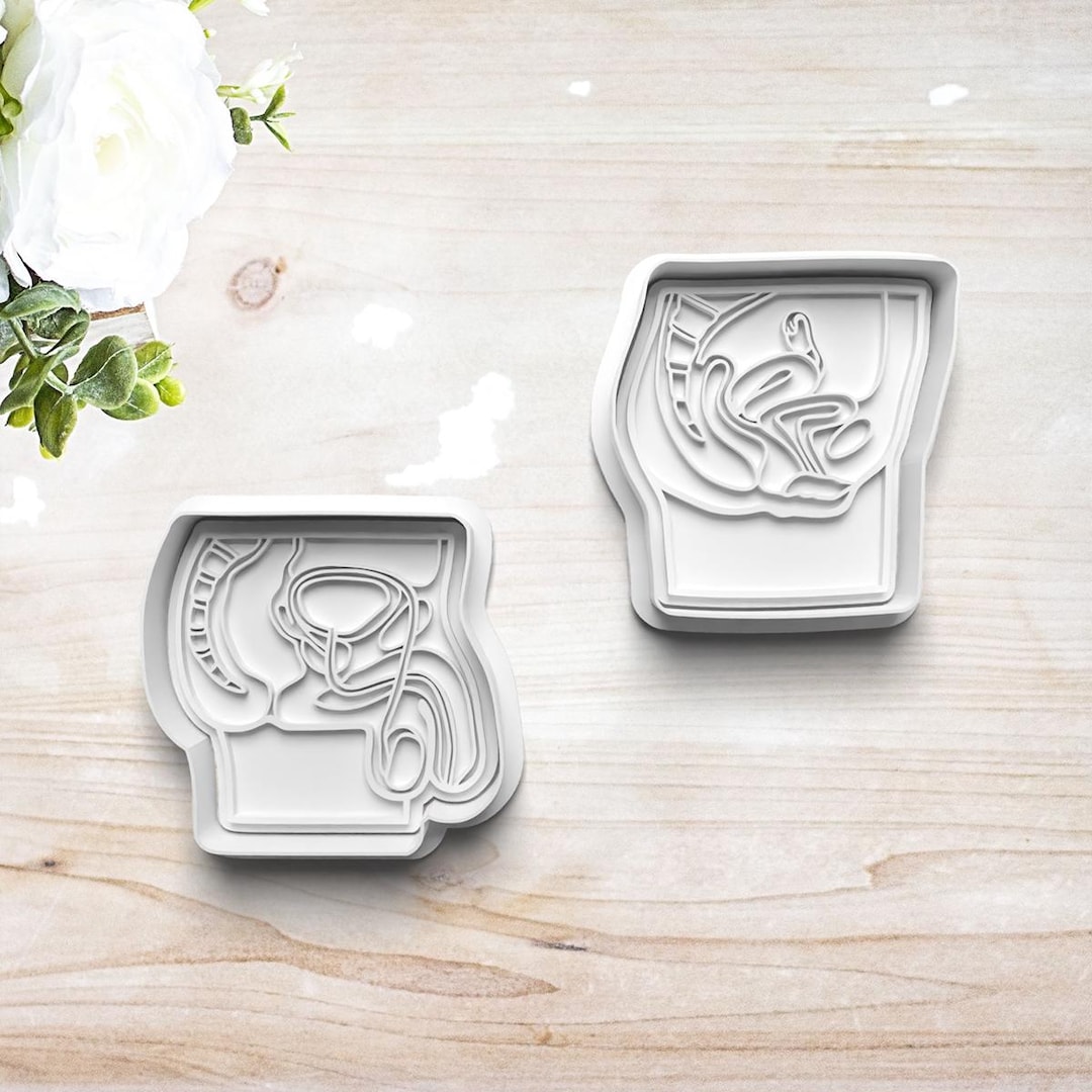 Sex Organs Anatomy Cookie Cutter | Polymer Clay Fondant Stamp ...
