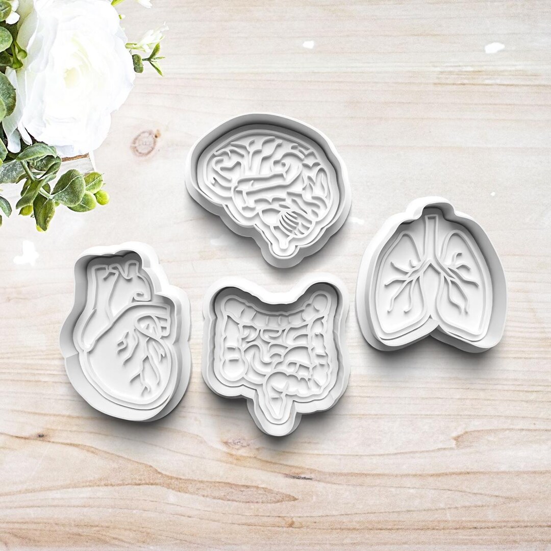 Organs Cookie Cutter Set | Polymer Clay Fondant Stamp | Embosser ...