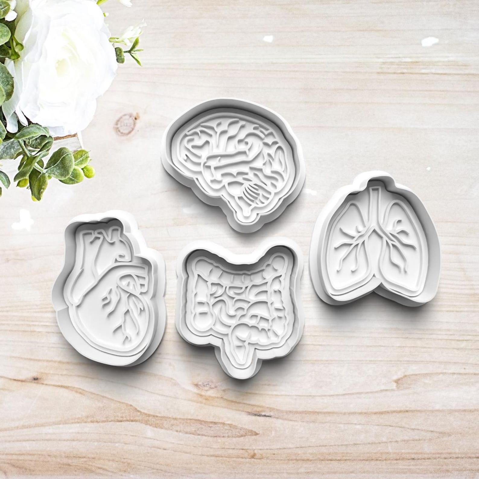 Organs Cookie Cutter Set | Polymer Clay Fondant Stamp | Embosser ...