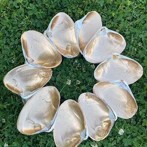 Gold Clam Shell Wreath - Etsy