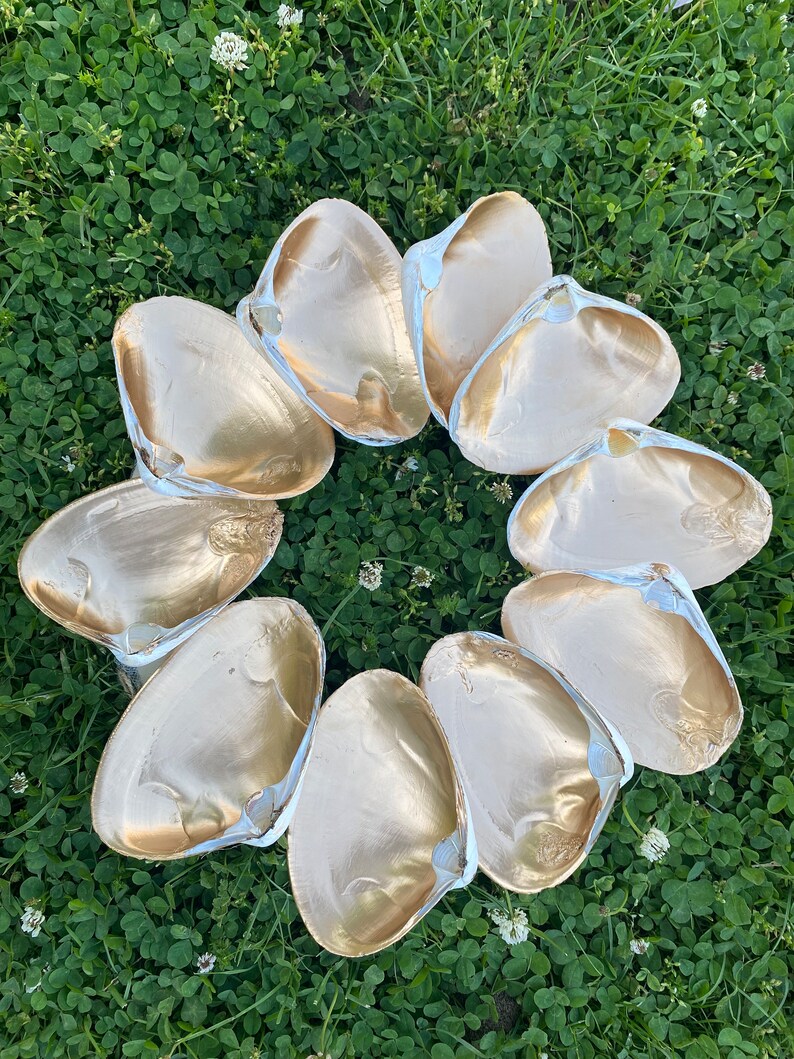 Gold Clam Shell Wreath - Etsy