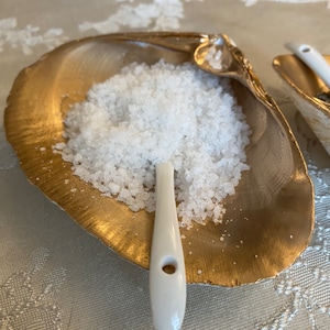Clam Shell Salt and Pepper Cellars Set With Porcelain Spoons - Etsy