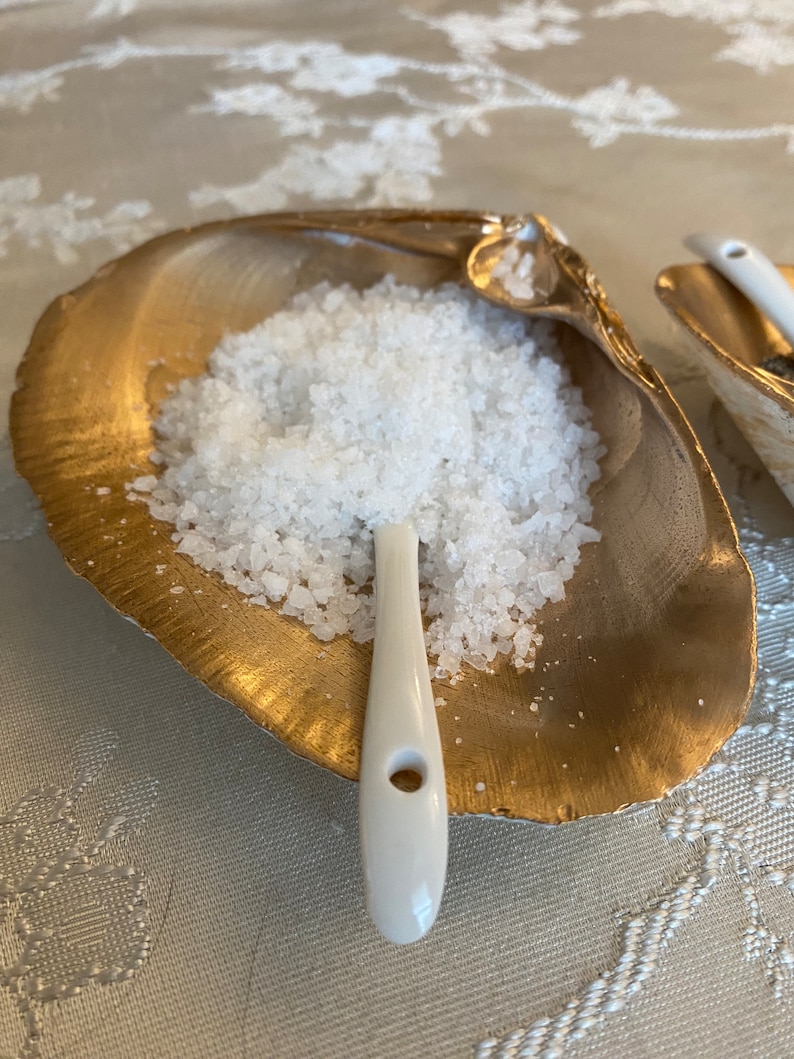 Clam Shell Salt and Pepper Cellars Set With Porcelain Spoons - Etsy