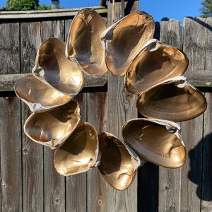 Gold Clam Shell Wreath - Etsy