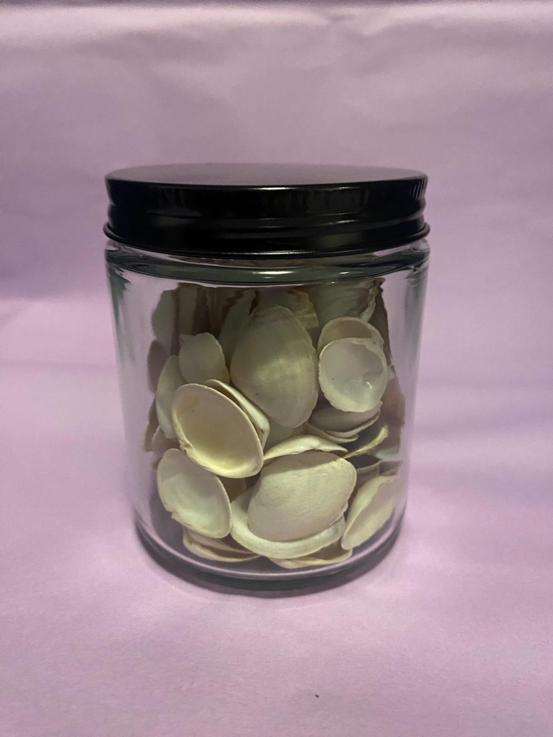 Jar of Mini Clam Shells - Etsy