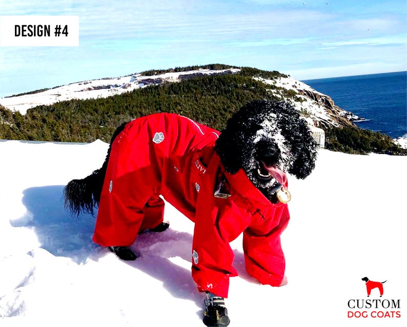 CUSTOM FIT! Dog Winter Clothes Custom Made Dog Pet Snowsuit Winter Full ...