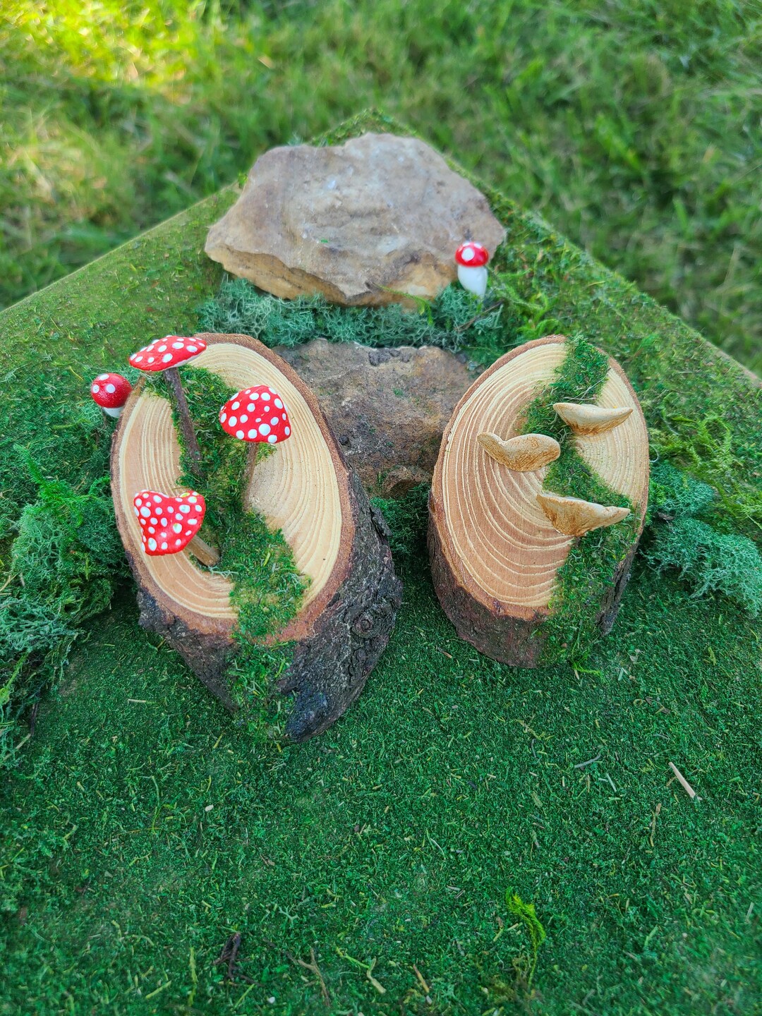 Set of Mushroom Magnets - Etsy