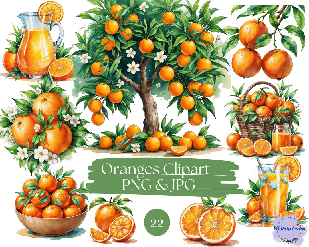 22 Watercolor Oranges Clipart – Citrus Digital PNG Graphics, Instant ...