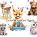 Baby Animals Clipart Animals Images Clipart Woodland Animals Clipart ...