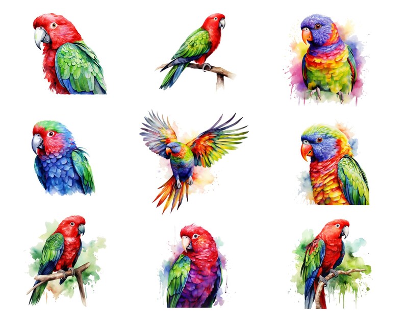 Watercolor Tropical Birds Clipart Set - Exotic Plants & Caribbean ...