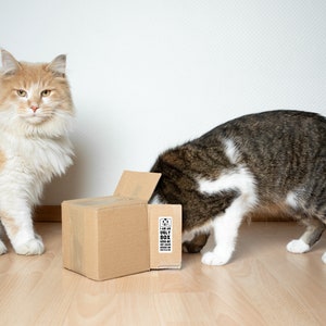 Packaging Label Ugly Box Design. Reused Box Sticker. Recycled Address ...