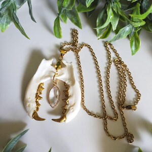 Mink Jawbone Pendant Necklace - Etsy