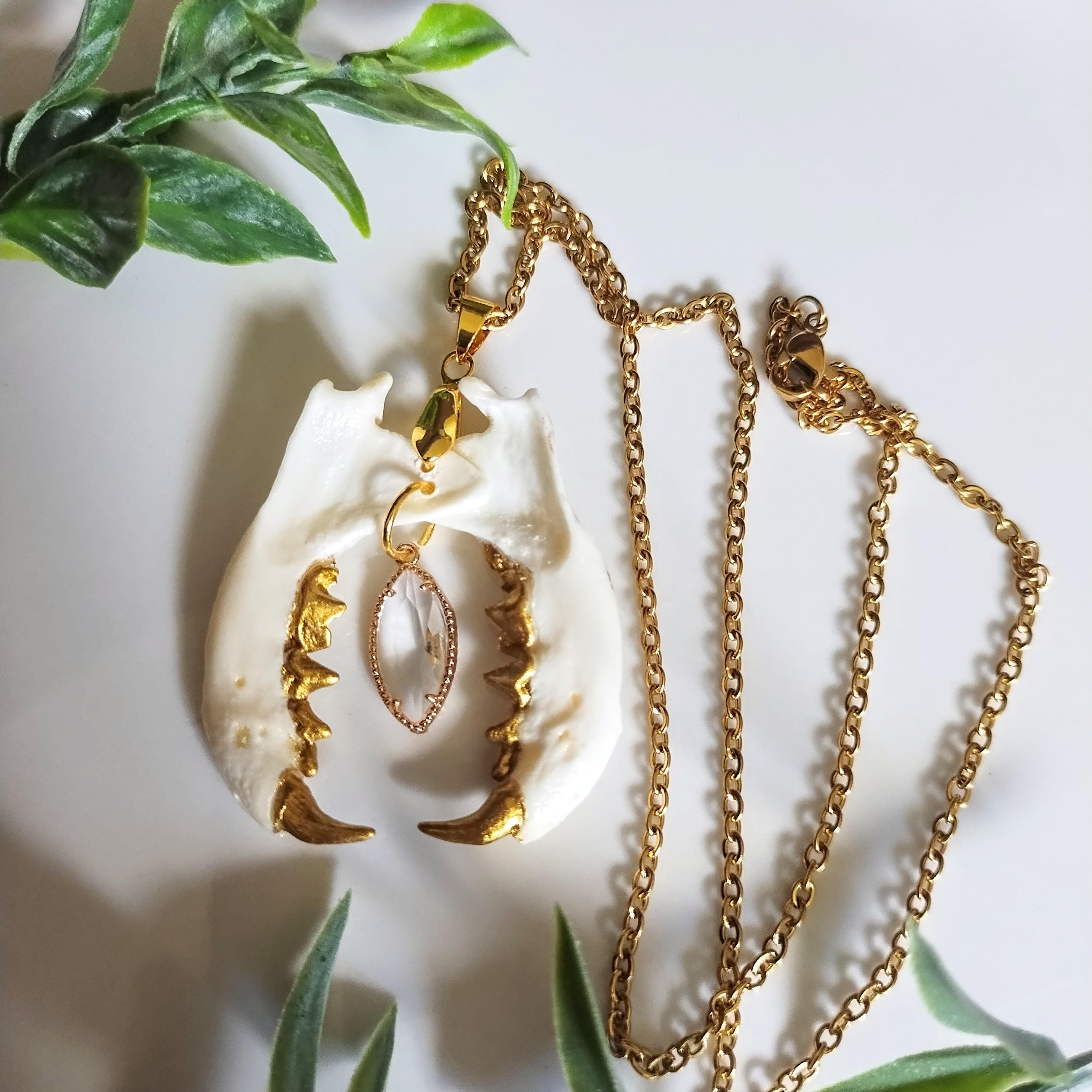 Mink Jawbone Pendant Necklace - Etsy
