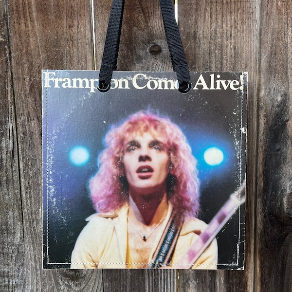 Vinyl Record Bag - Etsy