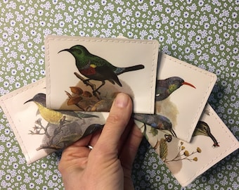 Bird Wallet - Etsy