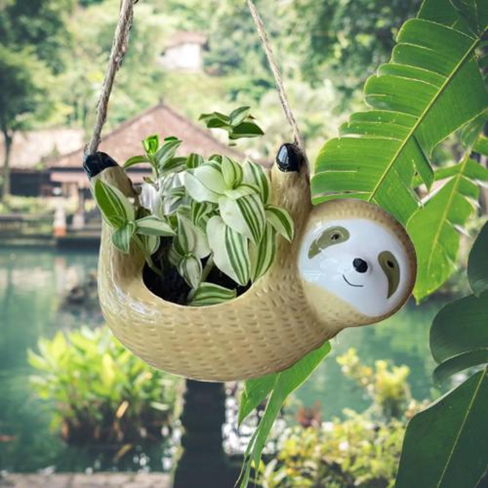 Cute Sloth Potted Planter, Planters, Succulents, Hanging Planter Pot ...