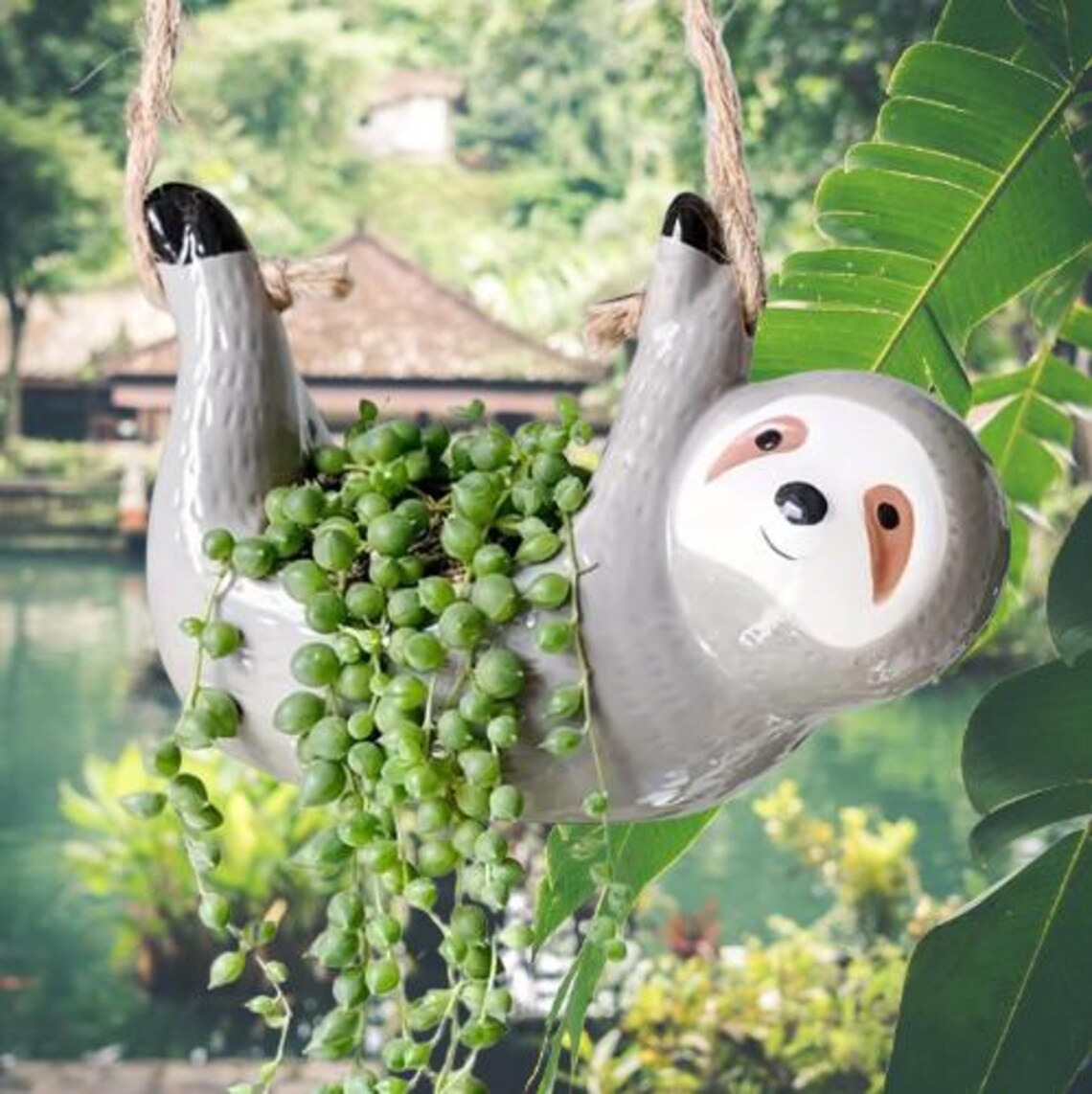 Cute Sloth Potted Planter, Planters, Succulents, Hanging Planter Pot ...