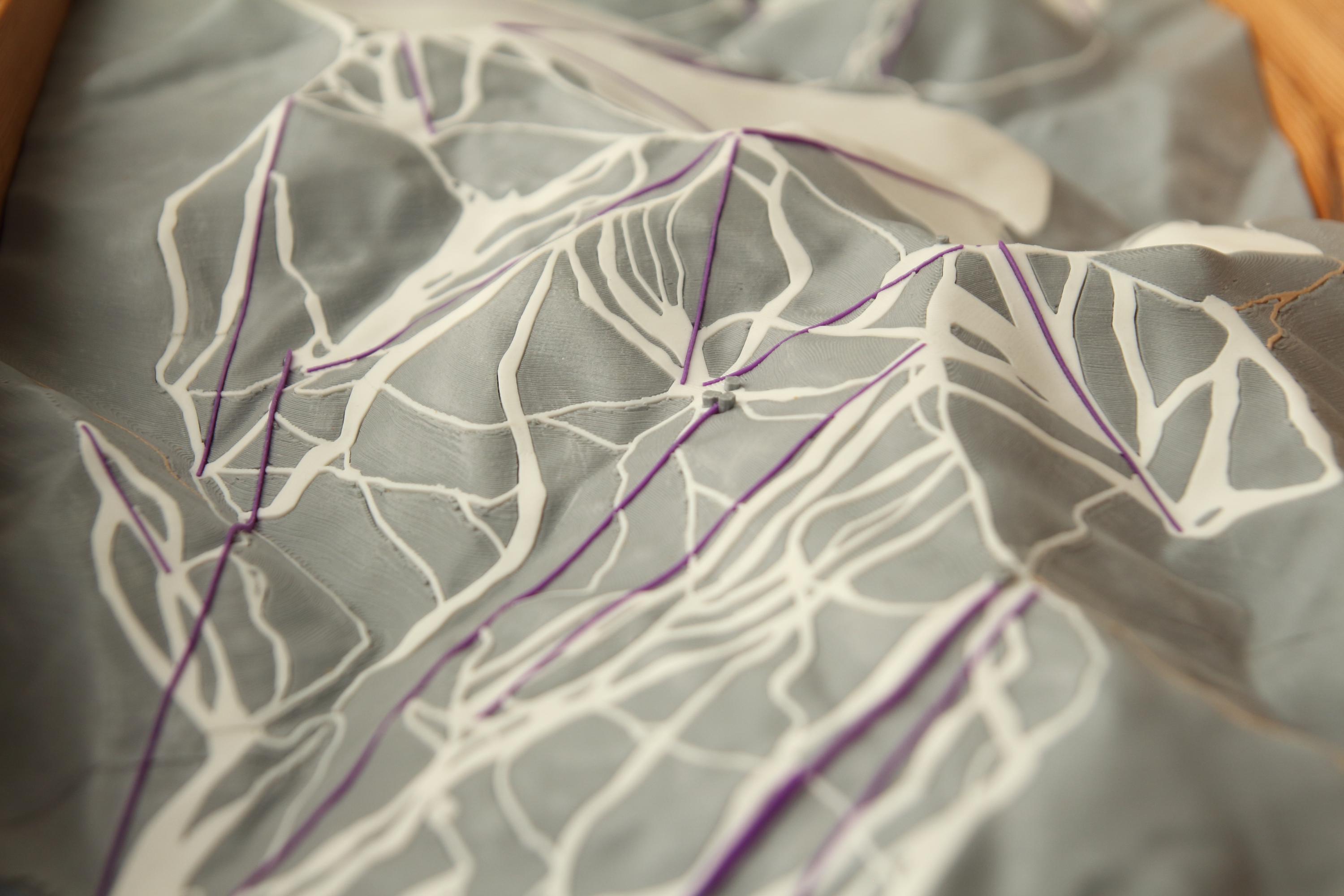 Large Vail 3D Relief Map With Slopes and Lifts, Gray (24" X 11") - Etsy