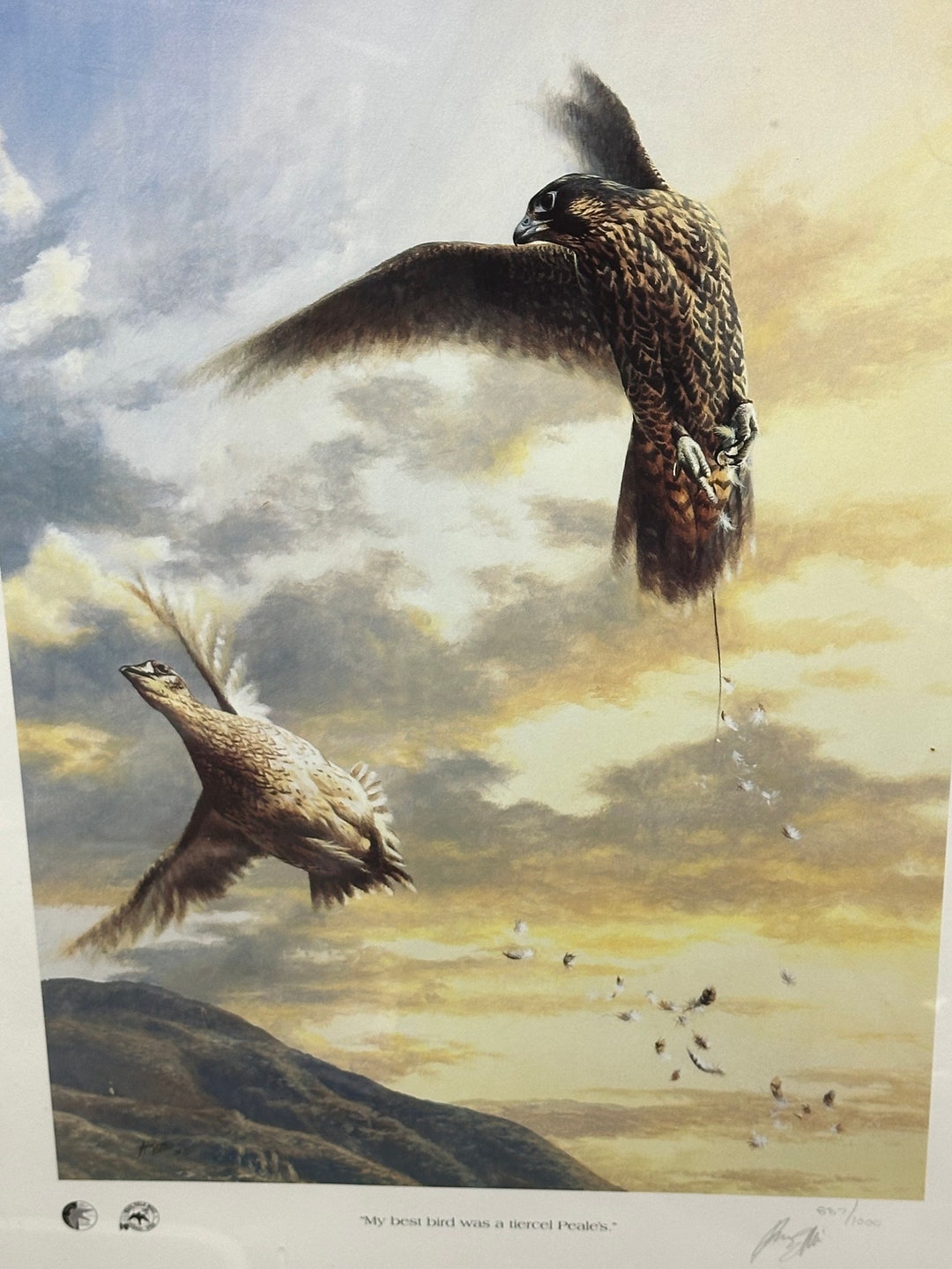 My Best Bird Was a Tiercel Peale’s - Etsy