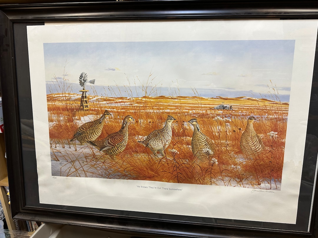 Grouse Artist Print Jonathan Wilde “he Knows They’re Out There ...