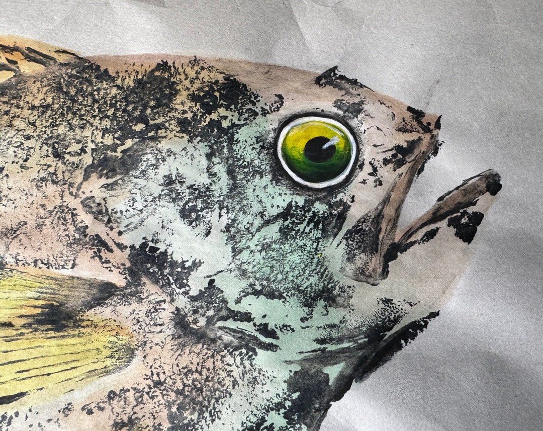 Gyotaku Japanese Sumi Fish Print, 24x18in, Detailed Eyes, Scales, Fins ...
