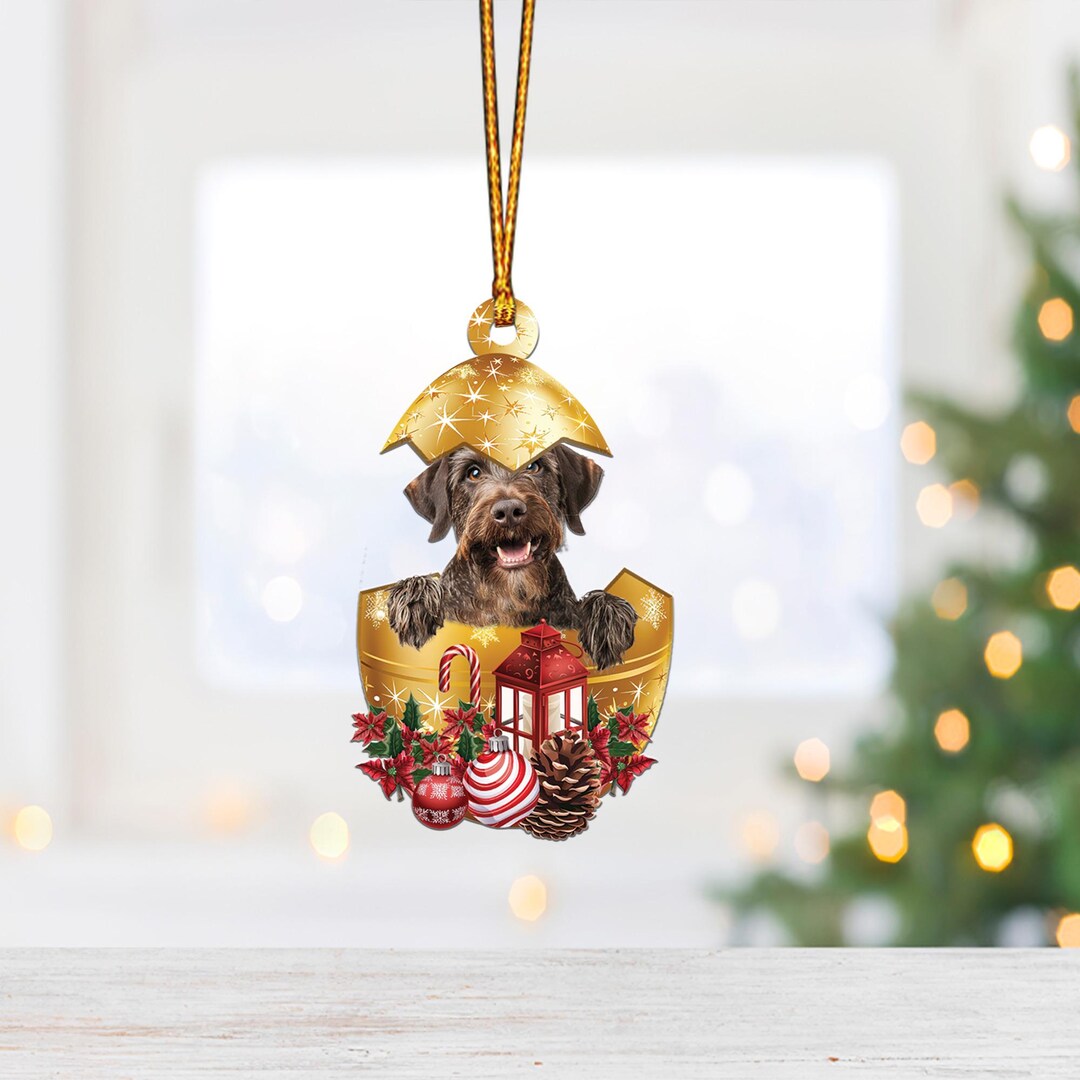 German Wirehaired Pointer in in Golden Egg Christmas Ornament, Dog ...